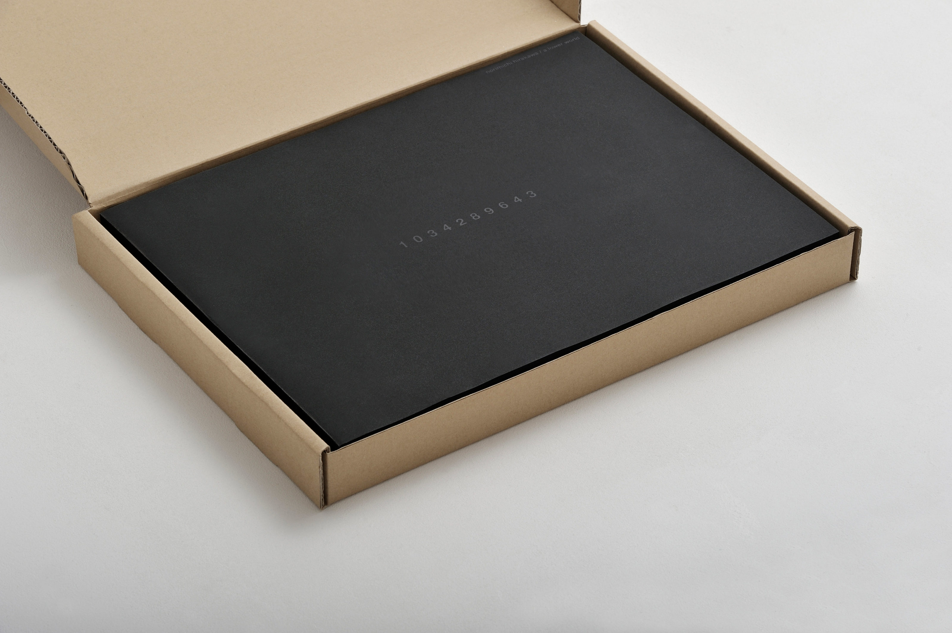 centre inc. | Norimichi Hirakawa: a lower world